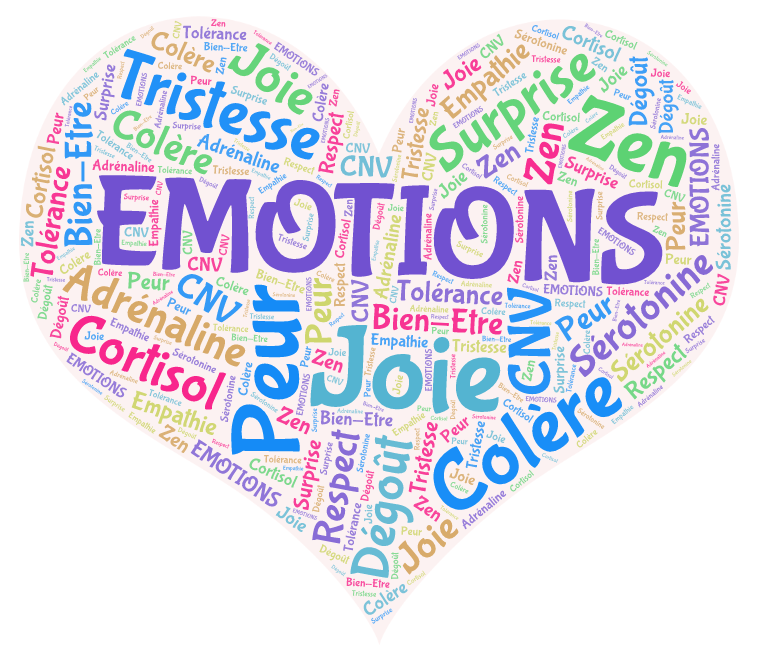 Éducation à la gestion émotionnelle et sociale - Collège Saint Louis